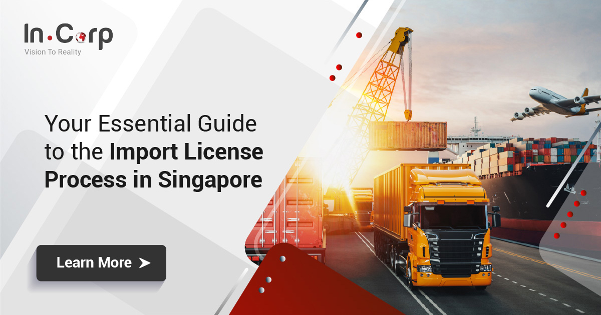 Understanding the Landscape of Import License in Singapore