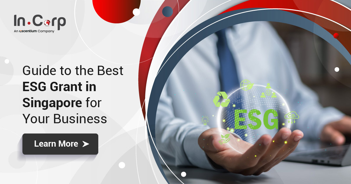 ESG Grant in Singapore: Empowering Sustainable Businesses